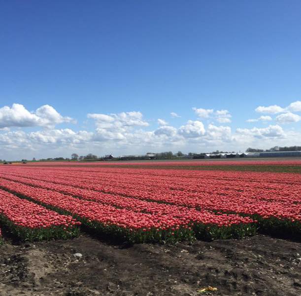 Ruiten Fleur | Stichting Kaag en Braassem Promotie